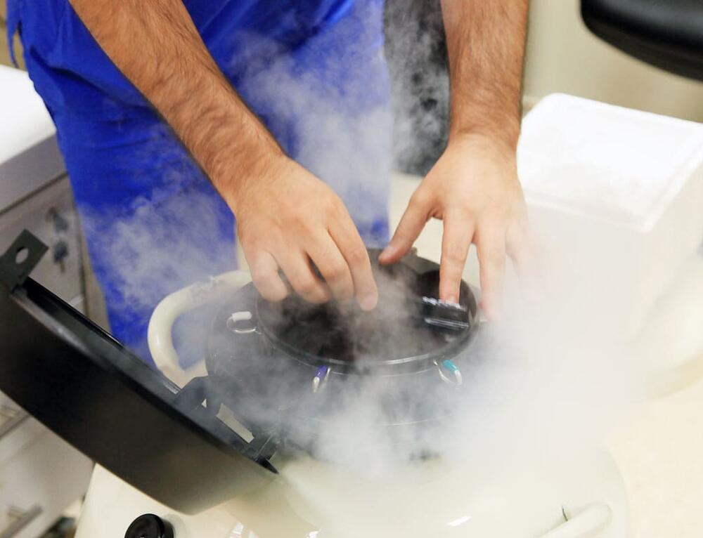 WHAT IT FEELS LIKE WHEN THE EGG IS FERTILIZED - Fertility Treatment in ...